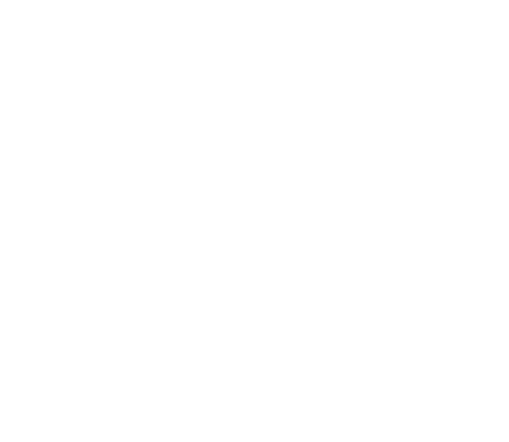 Meet Our Veterinarians | South County Animal Hospital