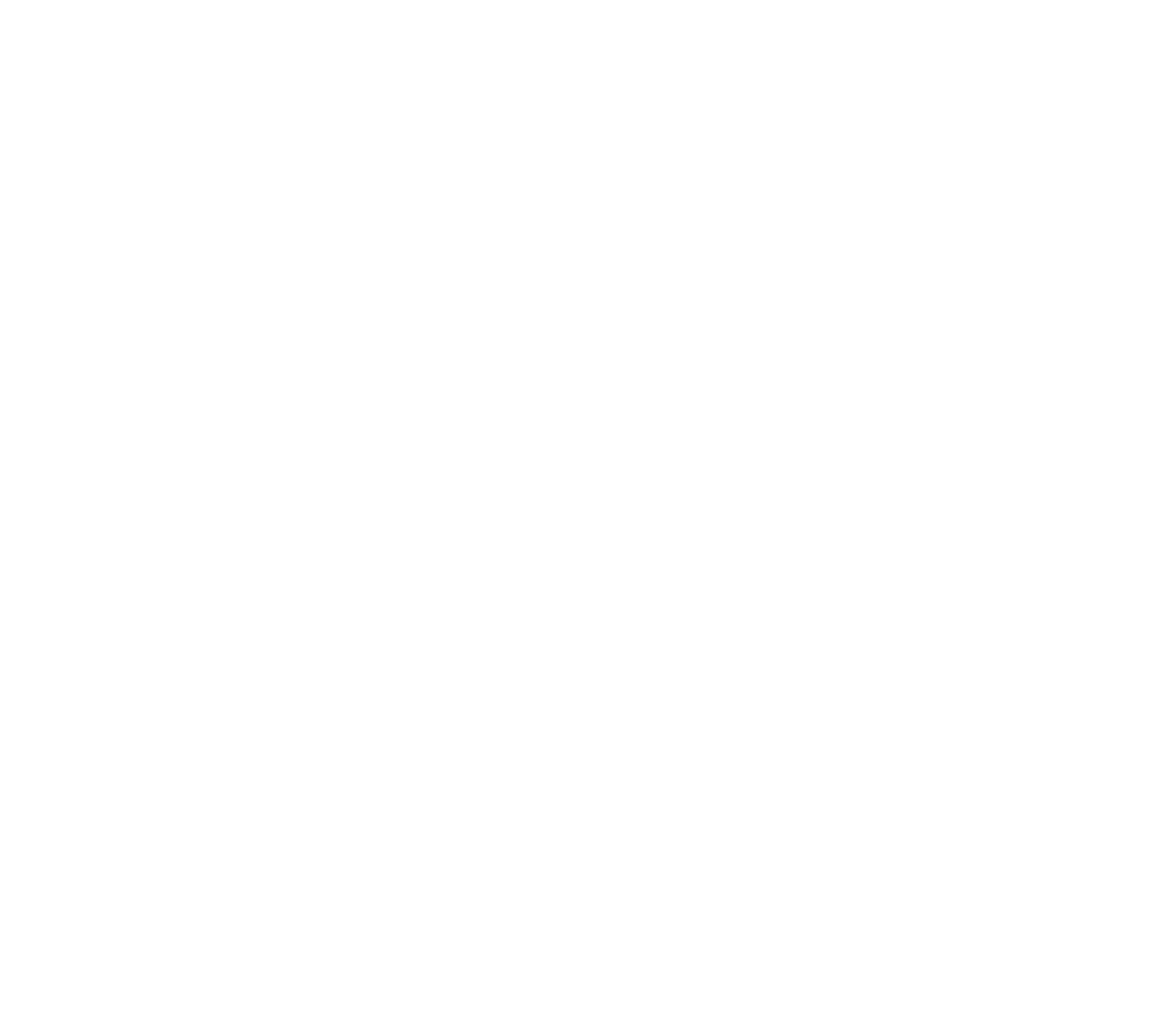 Meet Our Veterinarians | South County Animal Hospital
