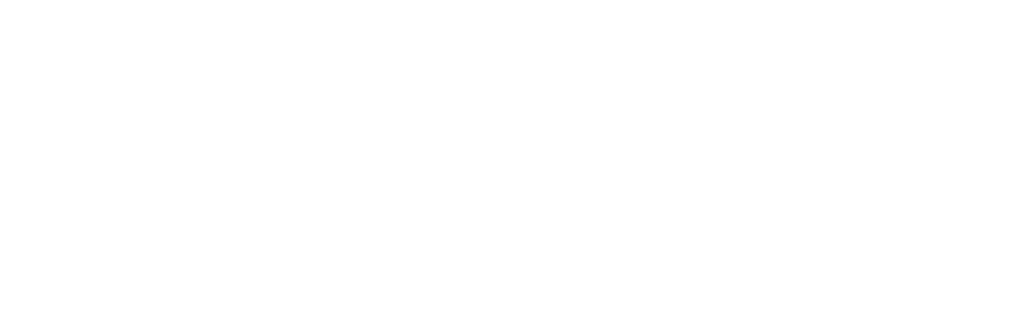 Our Cares Fund - South County Animal Hospital