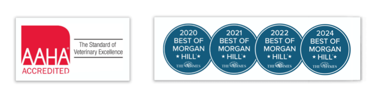 South County Animal Hospital | Veterinarian in Morgan Hill, CA